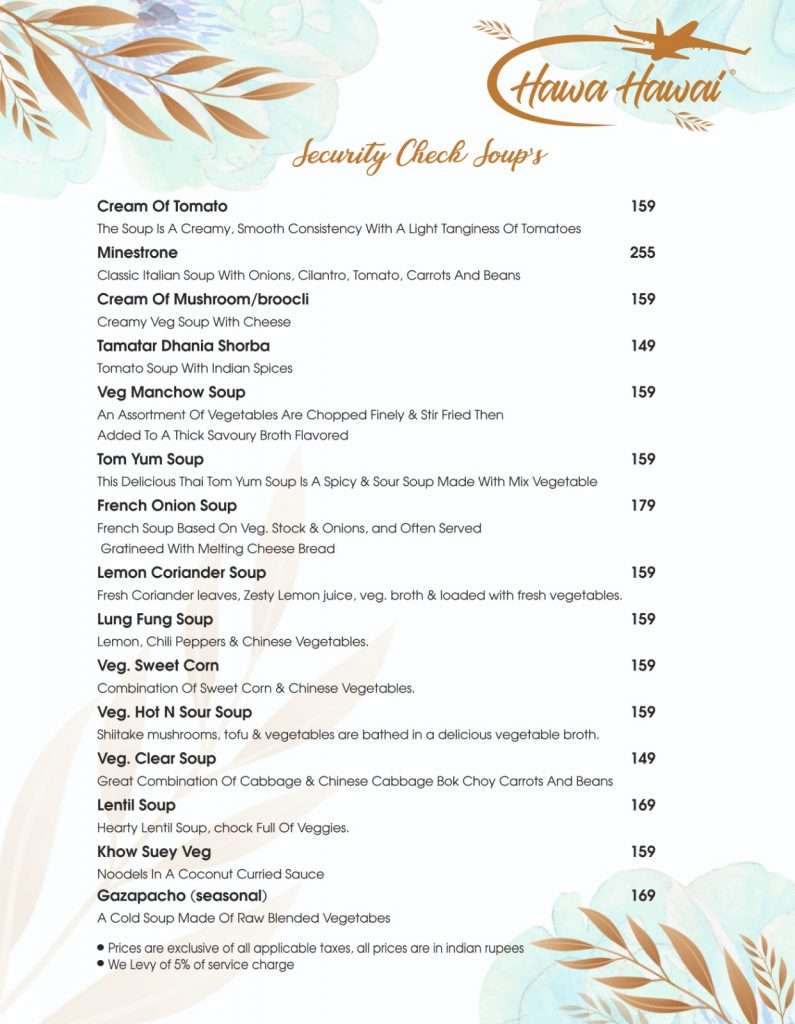 Hawa Hawai Aeroplane Restaurant Menu Food Price Hawa Hawai Aeroplane Restaurant Menu Food Price